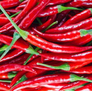 Best Indian Fresh Red Chilli Suppliers In India